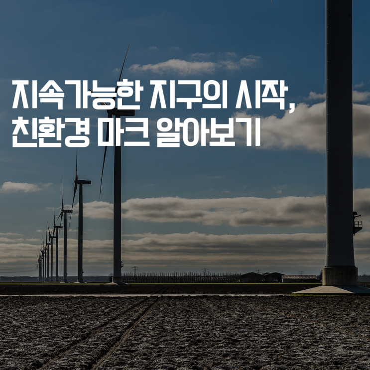 심플플래닛 심플두잇 지속가능한 지구의 시작 친환경 마크 알아보기 네이버 블로그