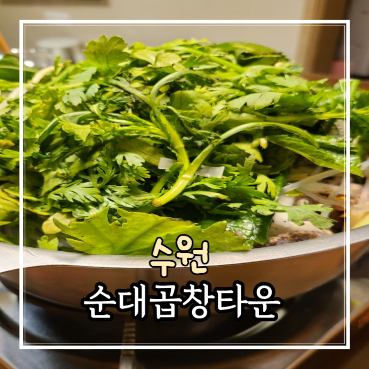 지동시장 순대곱창타운 남문곱창 순대곱창볶음 시식후기 : 네이버 블로그
