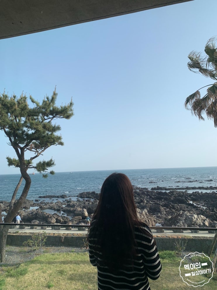 제주도 서귀포 가족 오션뷰 독채 펜션 휴일로스테이 숙소 내돈내산 솔직후기 네이버 블로그