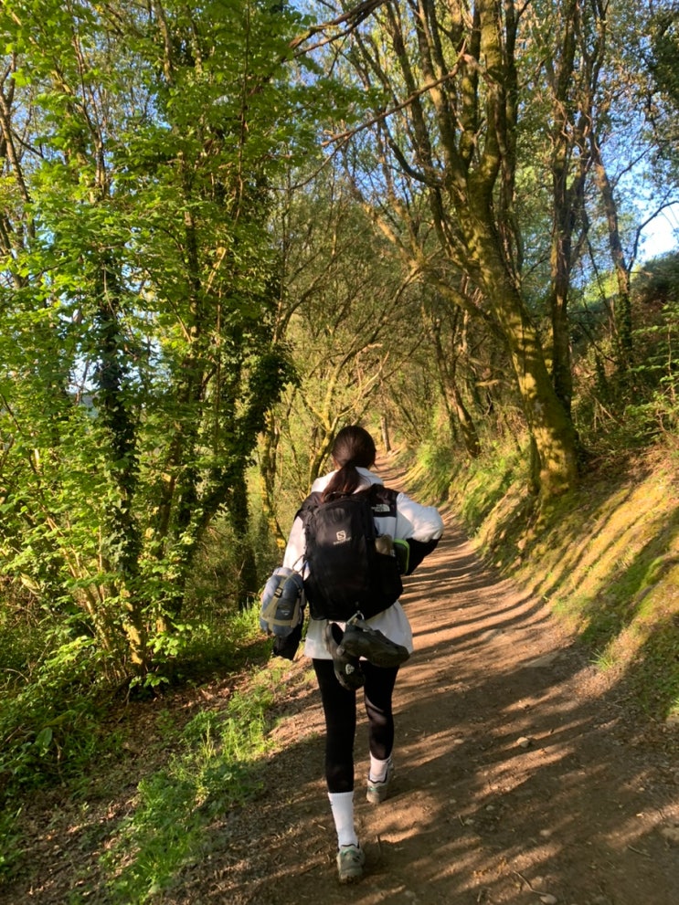 2023 4월 여자혼자 산티아고 순례길 5일차 / 오페드로우소에서 산티아고 데 콤포스텔라 20km : 네이버 블로그