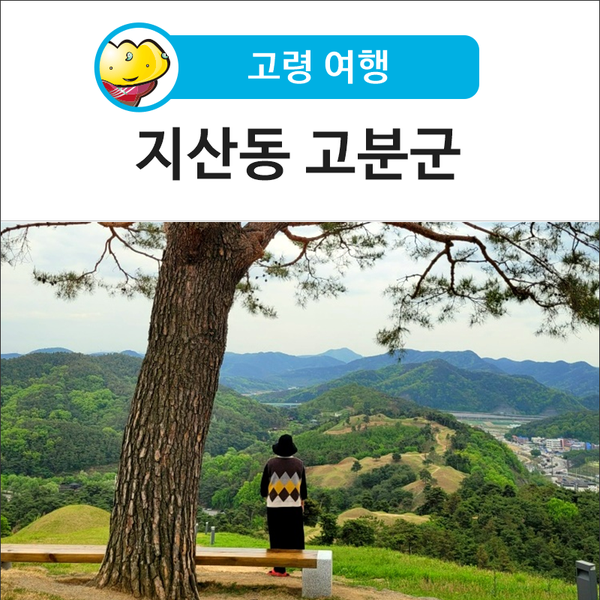 고령 여행 유네스코 세계유산 등재를 앞 둔 고령의 랜드마크 지산동 대가야 고분군 네이버 블로그