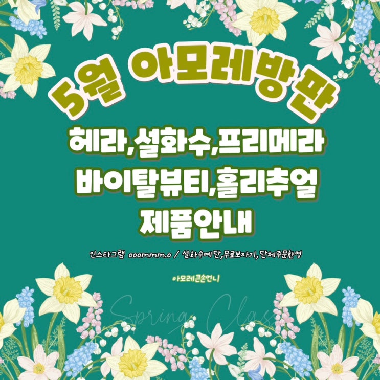 2023년 5월 바이탈뷰티 설화수 홀리추얼 헤라 예단 아모레 방판 프리메라 카탈로그 상품 책자 기획세트 네이버 블로그