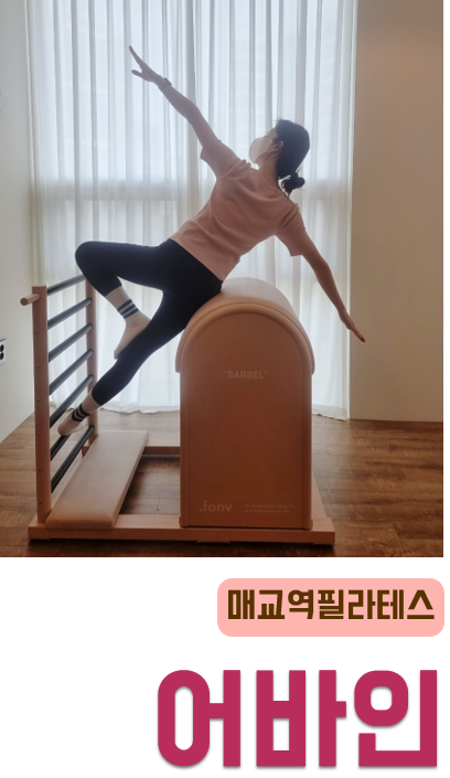 수원역요가 추천 매교역플라잉요가 어바인 필라테스and플라잉요가 4회차 솔직후기 필라테스개인레슨 네이버 블로그