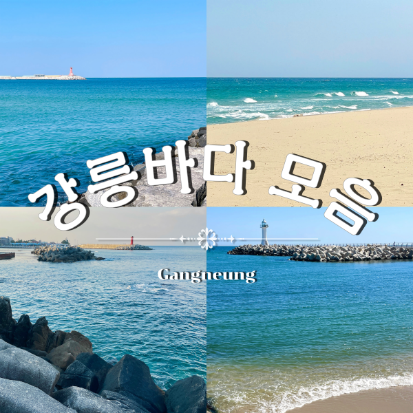 강릉바다추천 영진해변 사천해변 사근진해변 향호해변 등 5곳 네이버 블로그