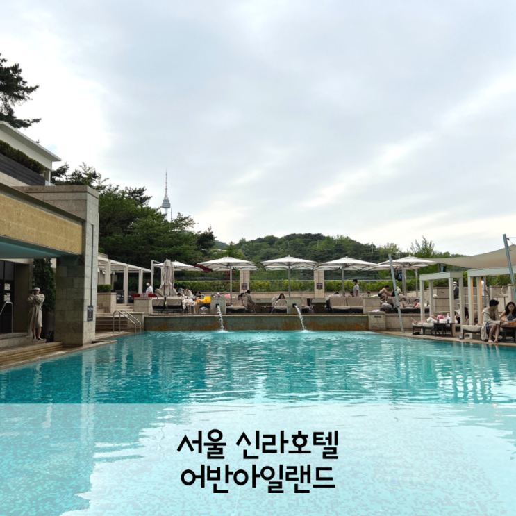 서울신라호텔 아기랑 어반아일랜드 야외 수영장 이용 후기 W 가격 메뉴 네이버 블로그
