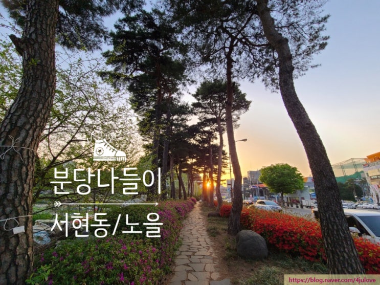 분당 산책길 And 자연탐방 그리고 꽃집 나들이 And 탄천이 살아나는 풍경 코로나가 끝이 나고 활기가 넘쳐난다 네이버 블로그