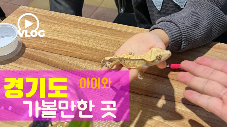 경기도 곤충체험 아이와 가볼 만한 곳 꿈꾸는파브르 다녀왔어요 네이버 블로그