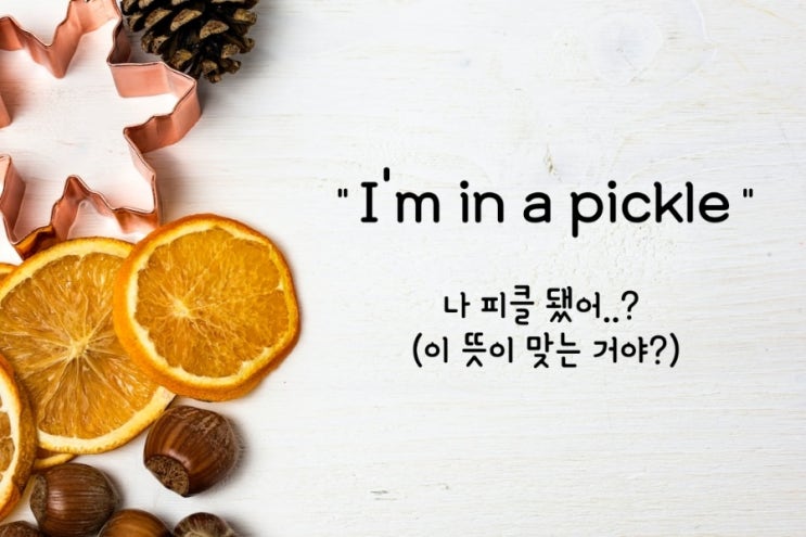 " I'm in a pickle " 나 피클이야? 무슨 뜻인지 모르겠으면 클릭! : 네이버 블로그