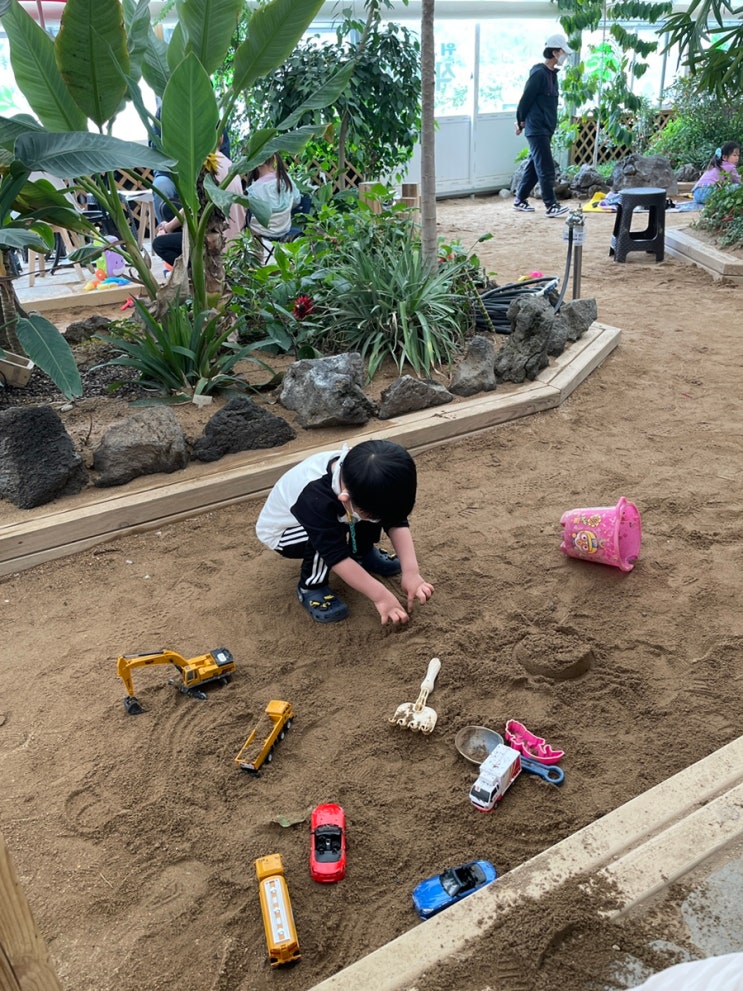 부산근교 김해 아이랑 가볼만한곳 카페위드자연과함께 실내 모래놀이 승마체험 식사까지 네이버 블로그