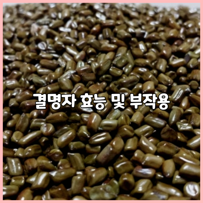 결명자 효능 부작용 결명자차 마시는 이유 7가지 네이버 블로그