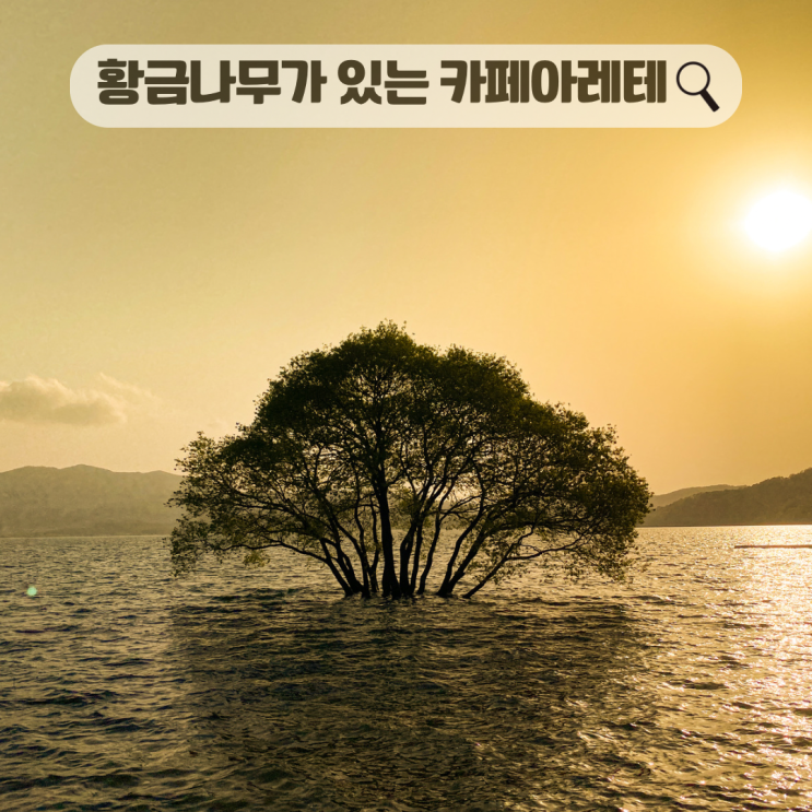 예당호 카페 아레테 충남 예산 여행지 가볼만한곳 황금나무 예당저수지 일몰 네이버 블로그
