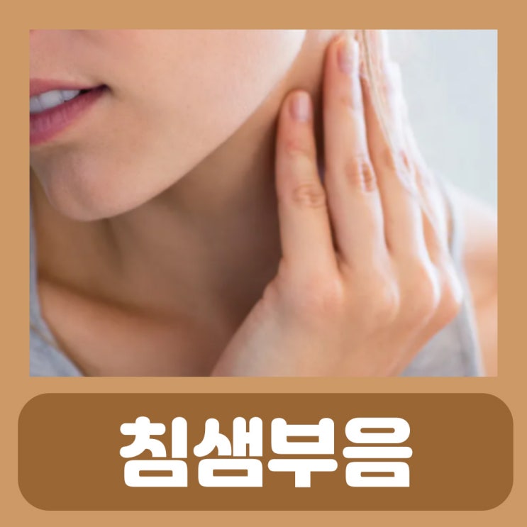 침샘부음 병원 볼거리 침샘염 증상 전염 유행성 성인 이하선염 귀뒤 목뒤 턱밑 목에 멍울 네이버 블로그