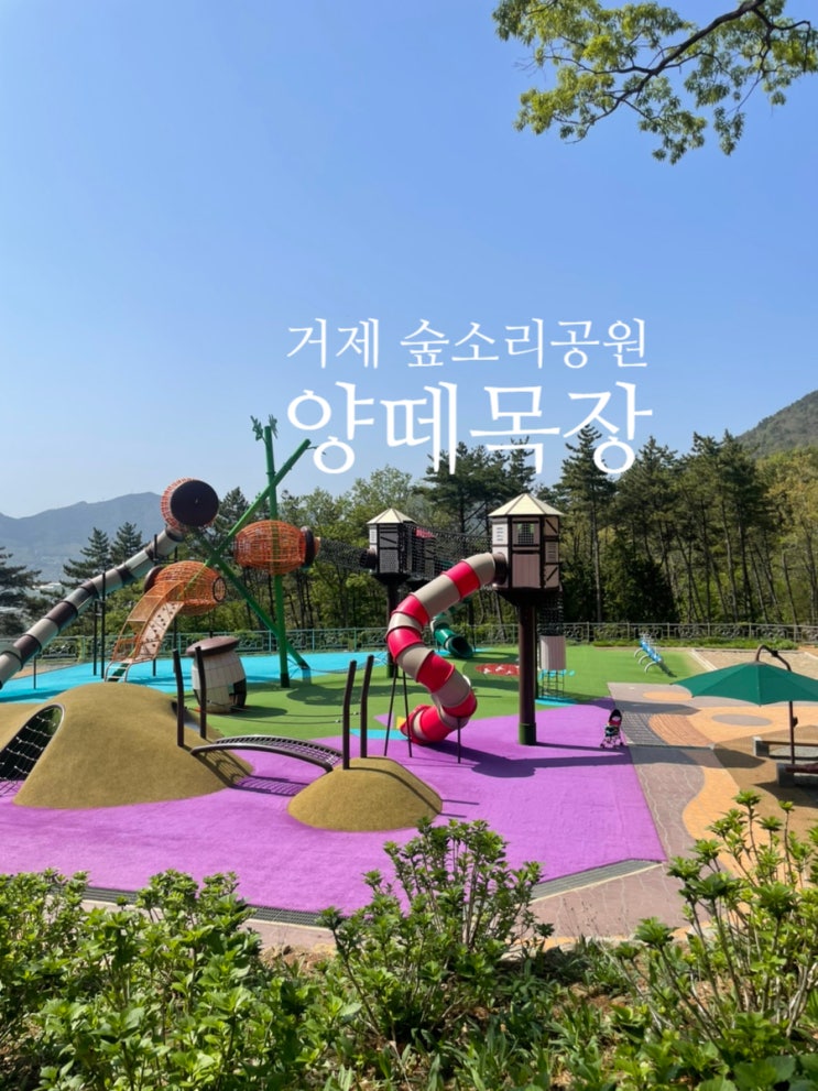 거제 아기랑 가볼 만한 곳 숲소리공원 무료 양떼목장 꿀팁 네이버 블로그
