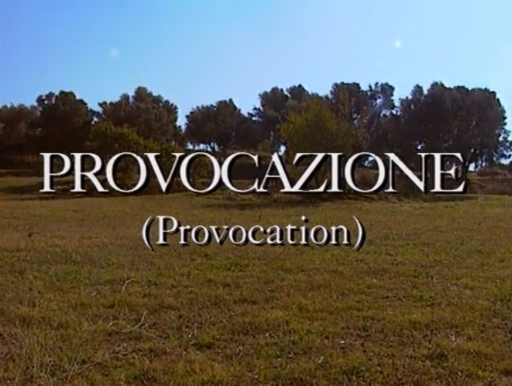 1995년 이탈리아 개봉 성인 영화 은밀한 도발(Provocation) CAST : 네이버 블로그