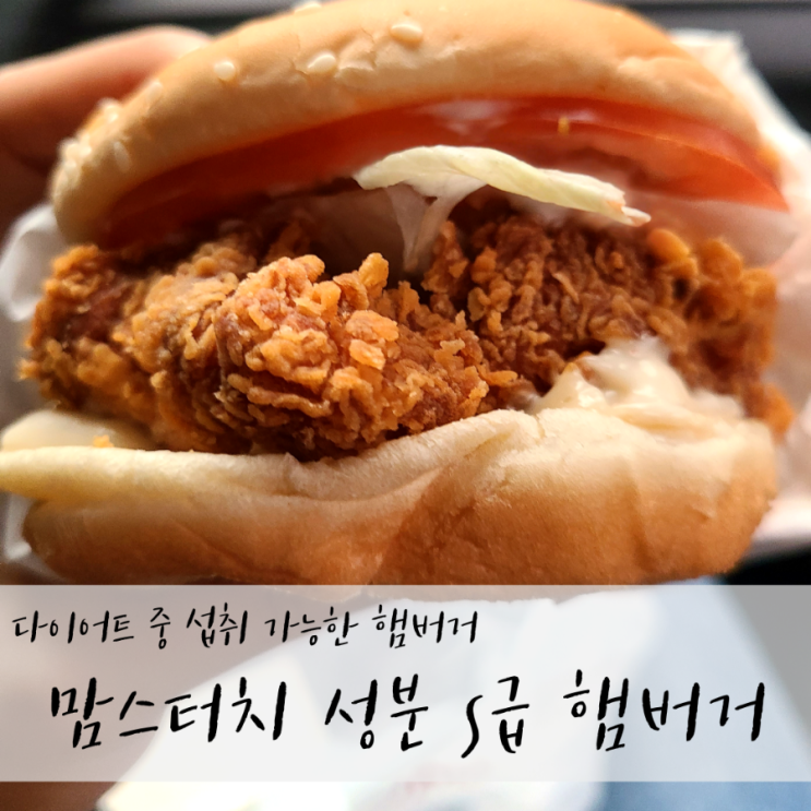 맘스터치 햄버거 다이어트 중 먹어도 괜찮은 성분좋은 햄버거 추천 주말 햄버거 치팅은 맘스터치 딥치즈버거 휠렛버거