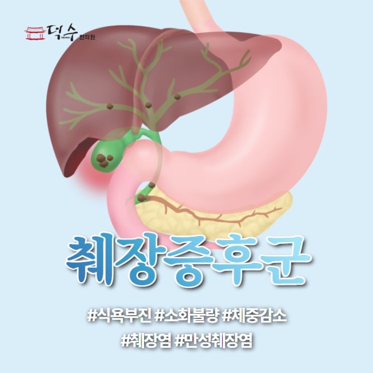 소화불량 식욕부진 체중감소 동반되는 원인과 치료는 명치통증 등통증 동반된다면 췌장증후군일 수도 네이버 블로그
