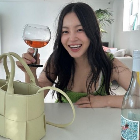 손민수각 연예인 보테가베네타 가방 코디 List 카메라백 아르코백 벌브백 만두백 미니백 네이버 블로그