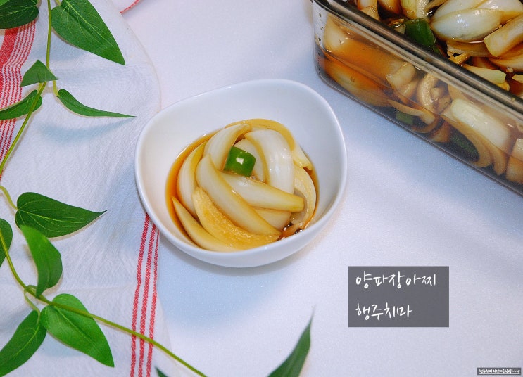 양파장아찌만들기 양파장아찌 담그는법 비율 소스 양파간장절임 짜지 않은 양파고추장아찌 네이버 블로그