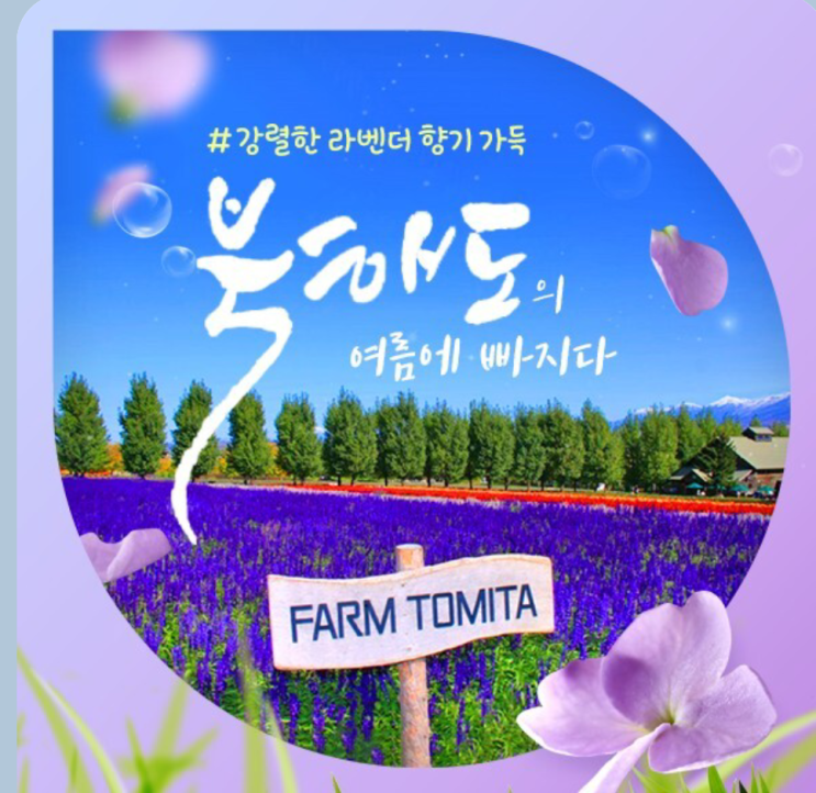 한진관광 북해도 여행 3년만에 만나는 북해도의 여름진에어 치토세 공항 629~810 매일 출발 네이버 블로그