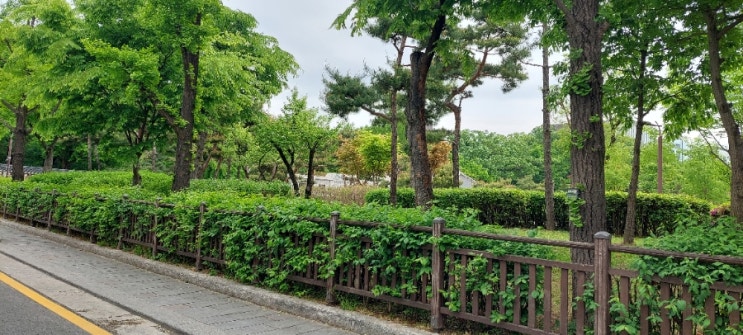 서순라길 북 카페 파이키 Fikee : 네이버 블로그