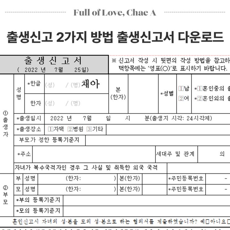 출생신고 준비물 2가지 방법 출생신고서 다운로드 네이버 블로그