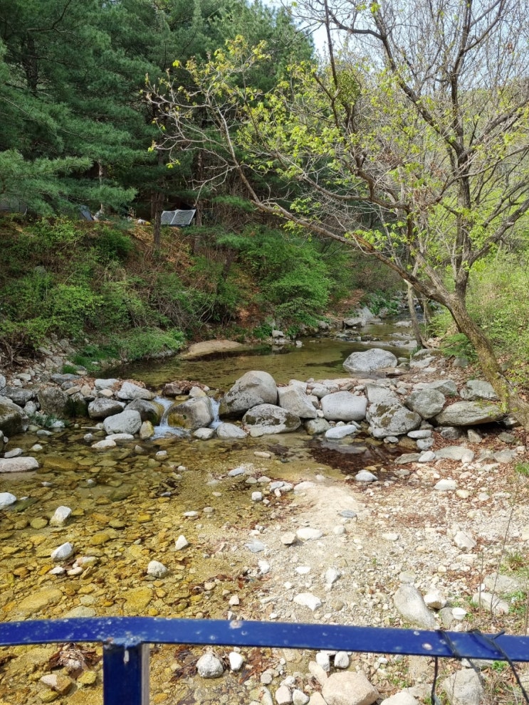 포천 각흘계곡캠핑장 : 네이버 블로그