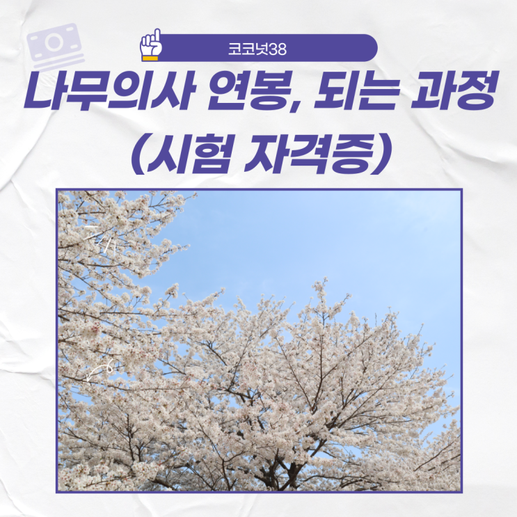 나무의사자격증 연봉 나무의사 되는 과정되는법나무의사 시험 자격증 양성기관 네이버 블로그
