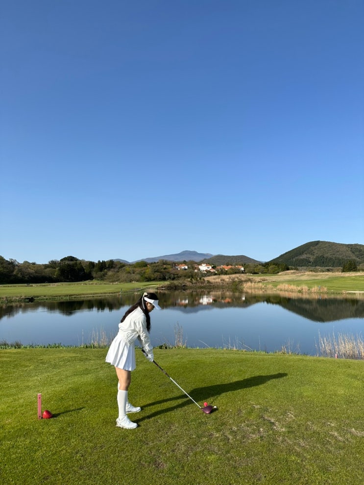 제주도 에코랜드cc⛳️ 2인 노캐디 골프장 네이버 블로그