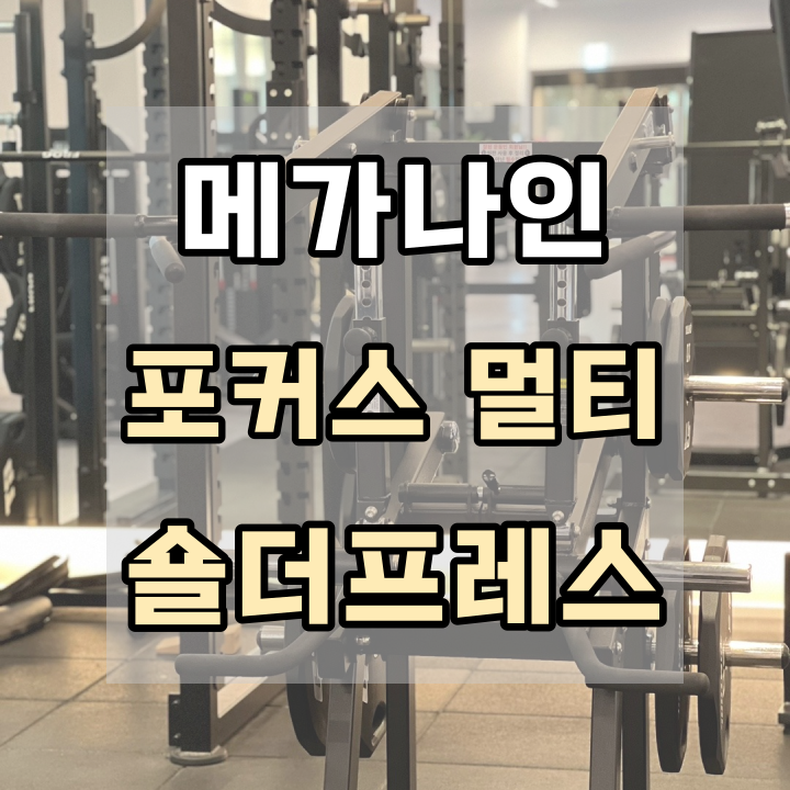 하남헬스 미사헬스 미사pt 하남pt 메가나인피트니스 메가나인피트니스에서 포커스 멀티 숄더 프레스 머신으로 어깨운동