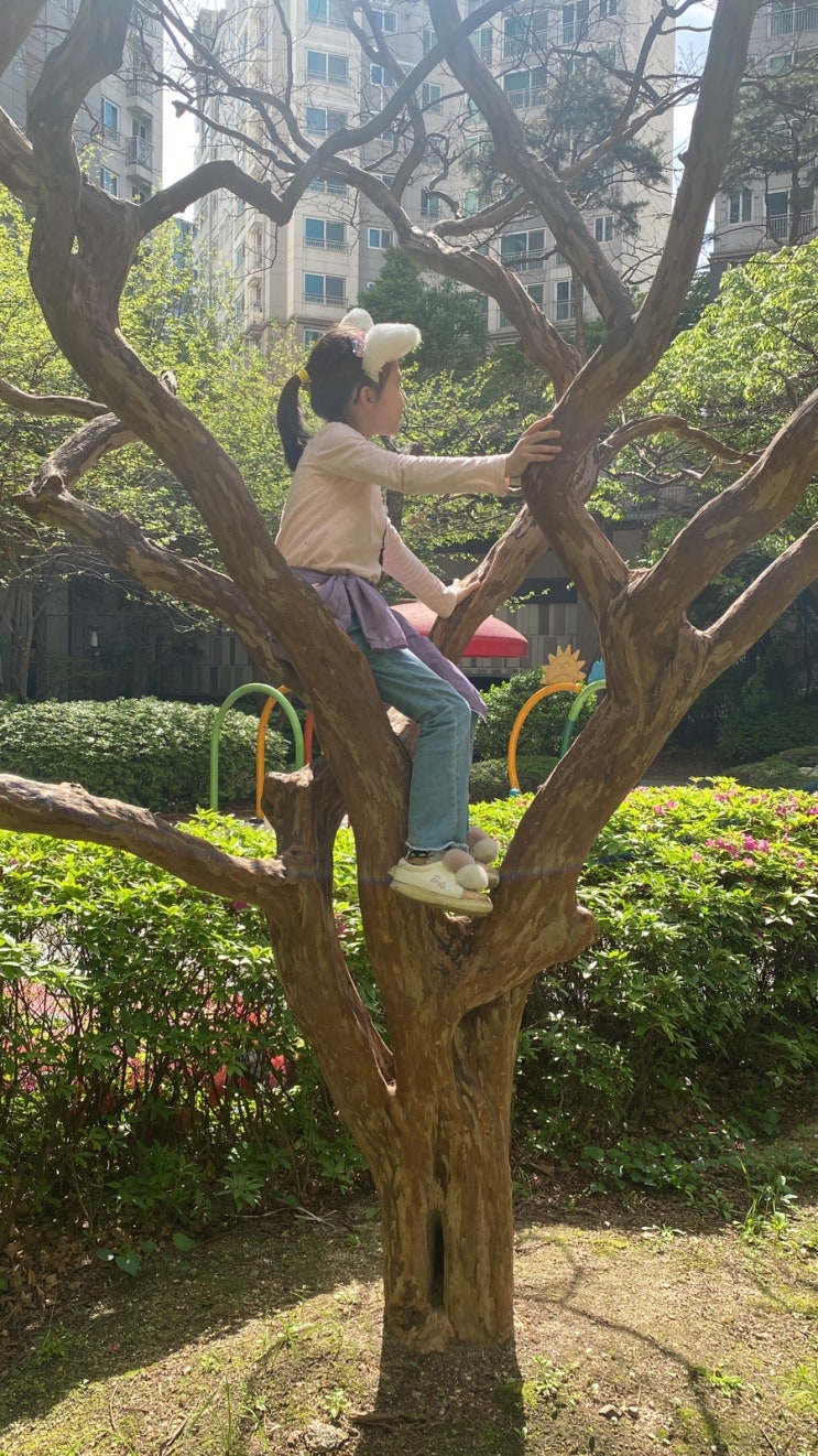 초2. 글쓰기 _ 엄마나무 : 네이버 블로그