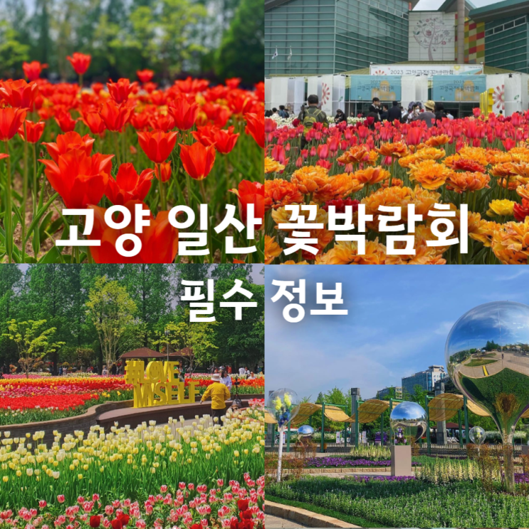 고양 일산 꽃박람회 예매 주차 입장료 강아지 네이버 블로그