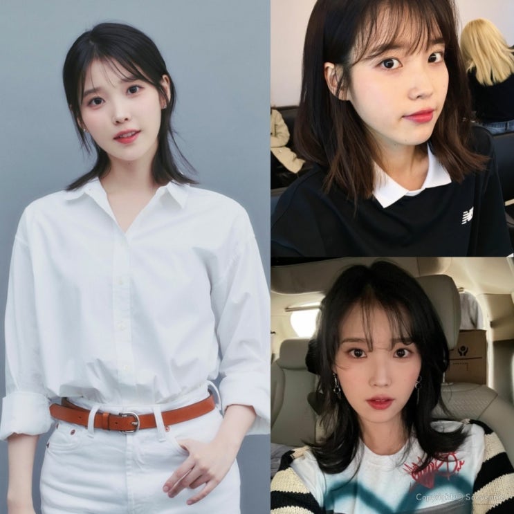 아이유 단발 머리 허쉬컷 중단발 레이어드컷 헤어스타일 : 네이버 블로그