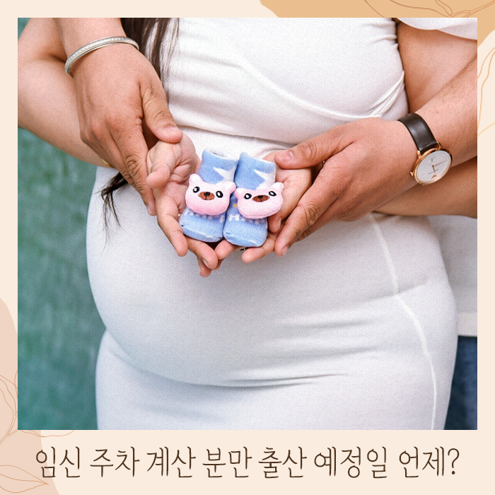 임신 주차 계산 분만 출산 예정일 언제 네이버 블로그