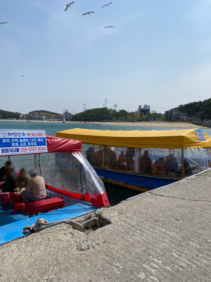 맛집 81충남 당진 선착장 배 위에 횟집 왜목마을 선착장 늘이네 방문후기 네이버 블로그