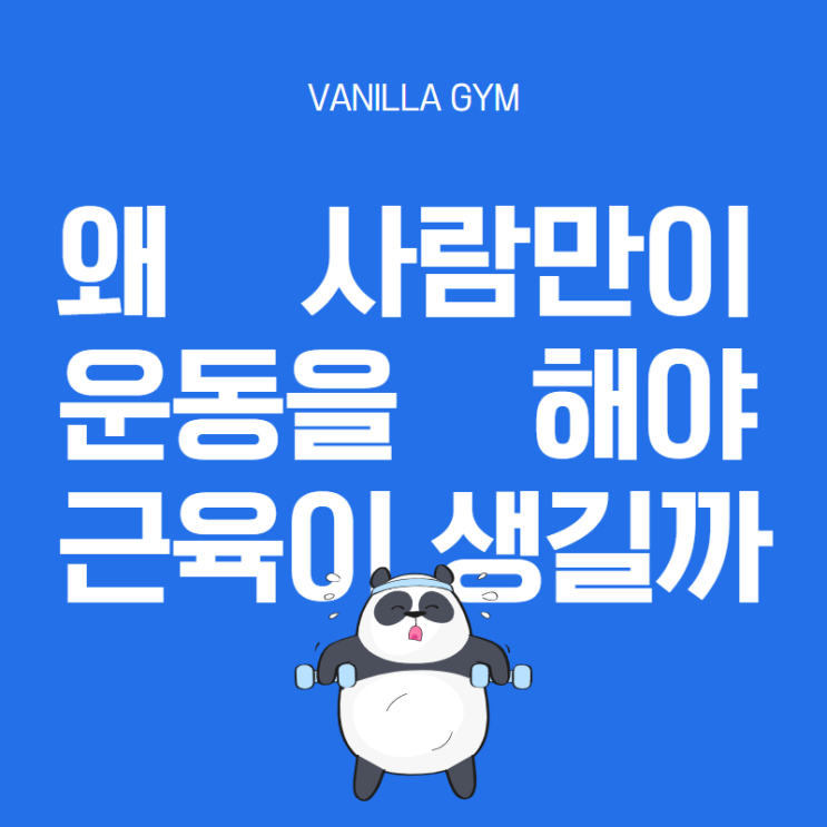 대흥동헬스은행동헬스 오직 왜 사람만 운동을 해야 근육이 생길까 대흥동pt은행동pt 네이버 블로그