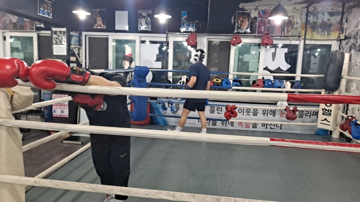 창동권투 오늘도 내뜻데로 안되는 스파링을 정복하기위한 도전하는 사람들 복싱이 넘 재미있어요 네이버 블로그