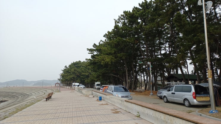 비인해수욕장 캠핑장비인해변예약하기 힘든 요즘~한적한 바닷가 앞 소나무 숲 아래서서 즐기는 캠핑~갯벌체험 네이버 블로그