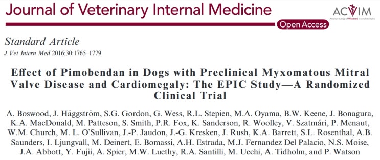 개 심장병 MMVD B2 단계로 진단받았어요, 심장병 B2 단계의 기대수명은 어느정도 되나요? (이첨판폐쇄부전증 생존기간 ...