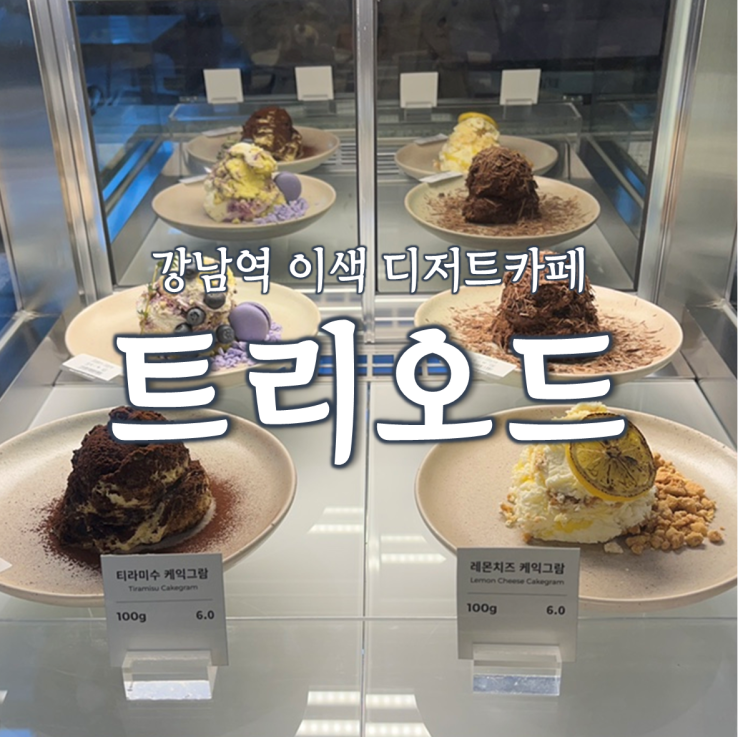 강남역 카페 :: 트리오드, 무게로 판매하는 떠먹는 케이크 : 네이버 블로그
