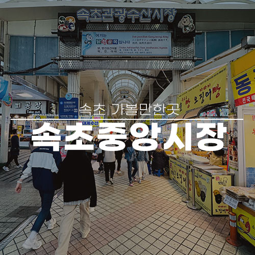 속초중앙시장 관광수산시장 영업시간 주차장 닭강정 먹거리 맛집 내돈내산 솔직후기 네이버 블로그