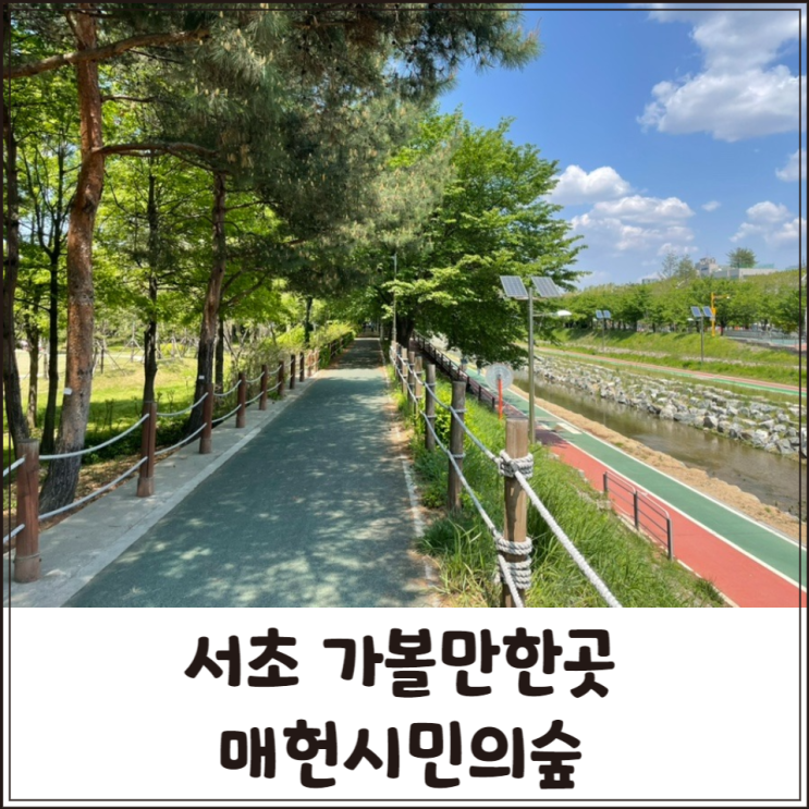 서초양재 가볼만한곳 서울 피크닉장소 매헌시민의숲 주차팁 어린이놀이터 방문후기 네이버 블로그