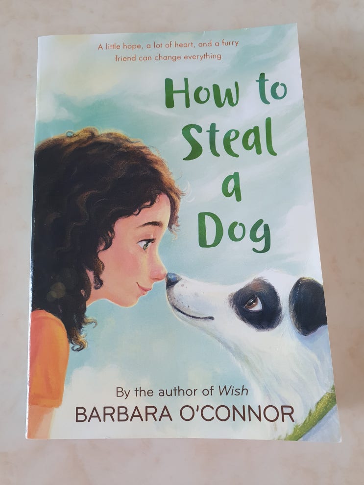 2. How to Steal a Dog by BARBARA O'CONNOR : 네이버 블로그