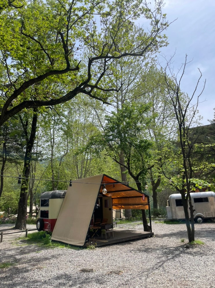 카페부터 수상레저까지 힐링하기 좋은 리버뷰 남양주맛집 더드림핑 드림골” 네이버 블로그