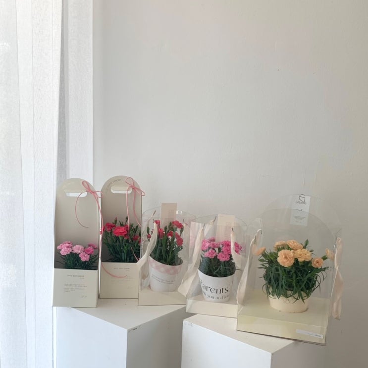 Labeille Flower 순천신대꽃집 순천어버이날 순천스승의날 라베일르 어버이날 순천카네이션포트 네이버 블로그