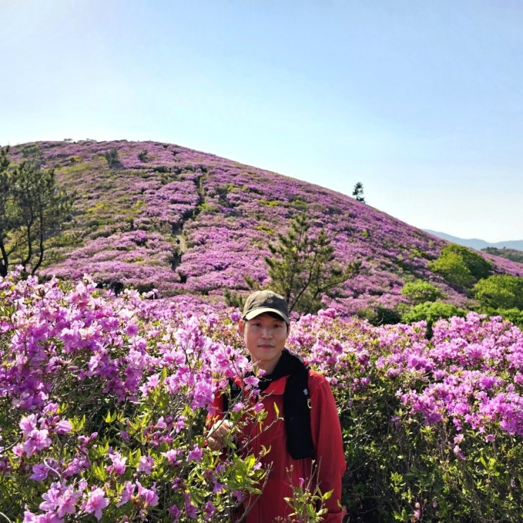 전남 보성 일림산 등산코스 철쭉 명산 용추계곡~정상 최단코스 및 철쭉군락지 산행 이야기 주차장 네이버 블로그