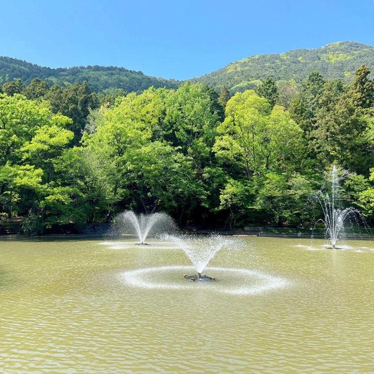 부산 서구 서대신동 중앙공원 대신공원 도심 속에서 자연을 느끼다 네이버 블로그