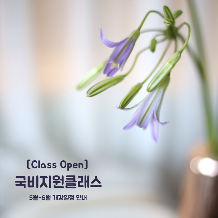 플로리스트 국비학원 5 6월 국비 과정 개강 일정 안내베로플라워디자인학원 네이버 블로그