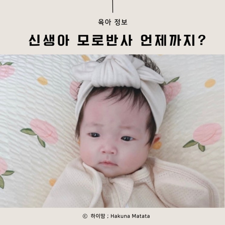 신생아 모로반사 언제까지 뜻 시기 머미쿨쿨 스와들업 네이버 블로그