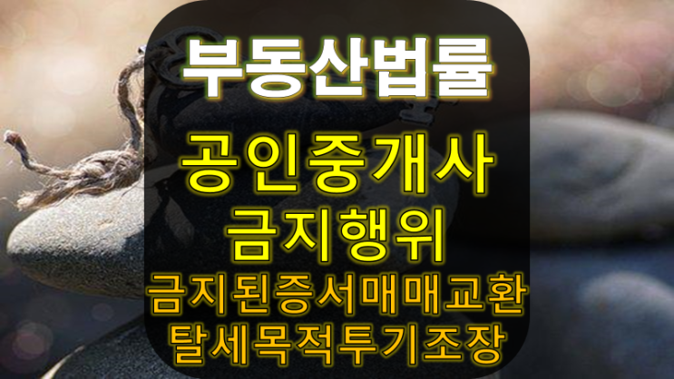 공인중개사 금지행위법 제33조 제1항 사례 및 판례 알아보기ii 금지된 부동산 증서의 매매·교환 특정 동호수 및