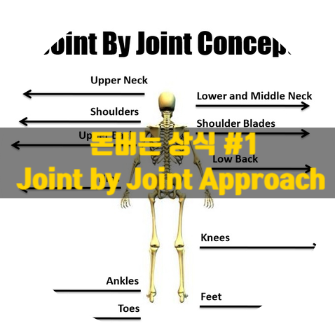 Joint by Joint Approach , Kinetic Chain 운동사슬의 중요성 : 네이버 블로그